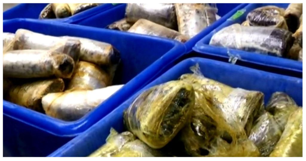 1.3 Tons Of Cocaine Discovered Inside Frozen Fish: "Operation Squid"