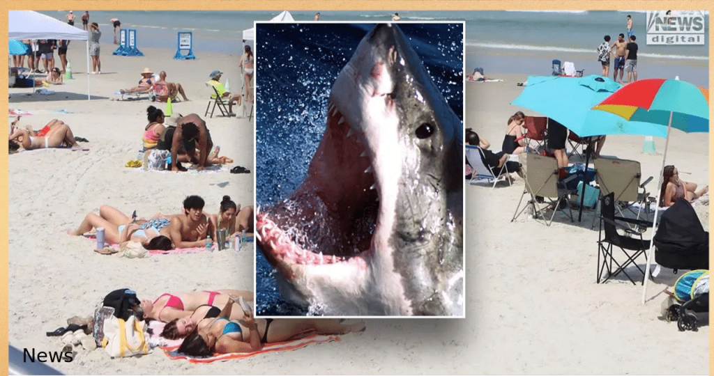 Shark attacks Ohio tourist in Florida beach while playing football in ...