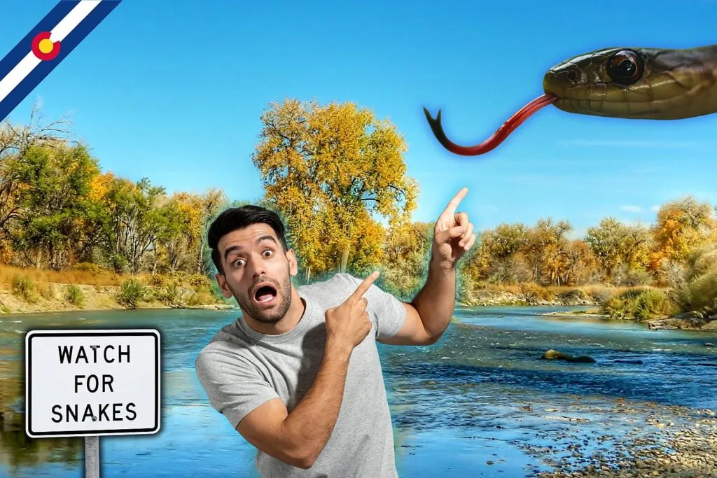 The 5 Most Snake Infested Lakes in California in 2025